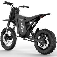 China Reliago X0 3000W Electric Mini Bike 60V 23Ah High Power Off-Road Electric Motorcycle for sale