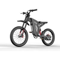 China Reliago X1 SE 750W Electric Bike 60V 25Ah Class 2 All-Terrain Electric Bike for sale