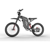 China Reliago X1 SE 750W Electric Bike 60V 25Ah Class 2 All-Terrain Electric Bike for sale