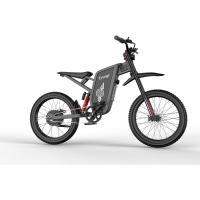China Reliago X1 SE 750W Electric Bike 60V 25Ah Class 2 All-Terrain Electric Bike for sale