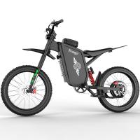 China Reliago X3 Pro 8000W All-Terrain Dirt Ebike 72V 50Ah High Power Off-Road Electric Dirt Bike for sale