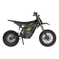 China Reliago Nova5 Mini 2500W Electric Motorcycle for Teens and Adults for sale