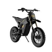 China Reliago Nova5 Mini 2500W Electric Motorcycle for Teens and Adults for sale