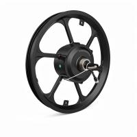 China Reliago 16 Inch 36V 250W Electric Bike Brushless Hub Motor Wheel for Hitway BK5 for sale