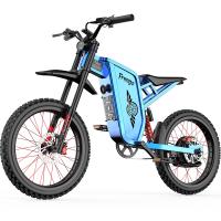 China Reliago X2 Pro 3000W  All-Terrain Dirt Ebike 60V 30Ah Full Suspension High Speed E-Bike 80km/h for sale