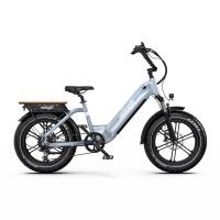 China Reliago OT08 20 Inch Fat Tire Electric Bike 48V 500W Motor 18Ah Battery 7-Speed E-Bike for sale