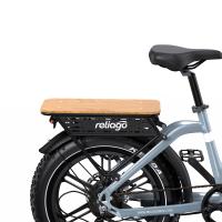 China Reliago OT08 20 Inch Fat Tire Electric Bike 48V 500W Motor 18Ah Battery 7-Speed E-Bike for sale