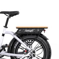 China Reliago OT08 20 Inch Fat Tire Electric Bike 48V 500W Motor 18Ah Battery 7-Speed E-Bike for sale