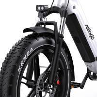 China Reliago OT08 20 Inch Fat Tire Electric Bike 48V 500W Motor 18Ah Battery 7-Speed E-Bike for sale