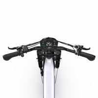 China Reliago 48V 500W Fat OT08 Pro Tire Electric Bike 20x4.0 with Dual 18Ah Batteries, Hydraulic Disc Brakes for sale