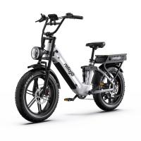 China Reliago 48V 500W Fat OT08 Pro Tire Electric Bike 20x4.0 with Dual 18Ah Batteries, Hydraulic Disc Brakes for sale