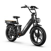 China Reliago 48V 500W Fat OT08 Pro Tire Electric Bike 20x4.0 with Dual 18Ah Batteries, Hydraulic Disc Brakes for sale