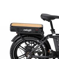 China Reliago 48V 500W Fat OT08 Pro Tire Electric Bike 20x4.0 with Dual 18Ah Batteries, Hydraulic Disc Brakes for sale