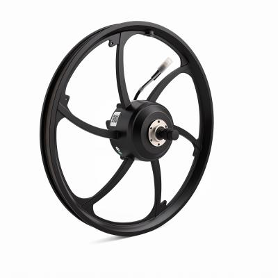 China Reliago 36V 350W 20 Inch E-Bike Hub Motor Wheel Electric Bicycle Replacement for Hitway BK6 for sale