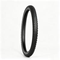 China Reliago 20x4.0 Fat Tire for Electric Bike with Inner Tube 20 Inch E-Bike Tire Replacement Set for sale
