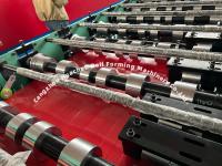 China The Dominican Republic CE-Certification Metal Roll Forming Machine for sale