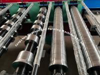 China The Dominican Republic CE-Certification Metal Roll Forming Machine for sale