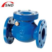 China Flanged Cast Iron Swing Check Valve Customized For Liquefied Gas for sale