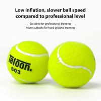 China Hot Sale Wholesale Tennis 60 Pcs Training Tennis Balls High Elastic Resistant Rubber Sports Racket Padel Ball for sale