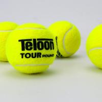 China Wholesale Tennis  1 Can 4 Balls Training Tennis Balls High Elastic Resistant Rubber Sports Racket Padel Ball for sale