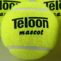 China Wholesale Tennis 60 Pcs Training Tennis Balls High Elastic Resistant Rubber Sports Racket Padel Ball for sale