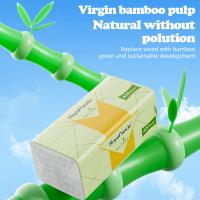 China Biodegradable 2ply Facial Tissue with Customized Logo for Healthcare and Hospitality for sale