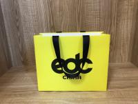China CMYK 4C Offset Printing 250gsm Coated Paper Shopping Bags FSC Certificated for sale