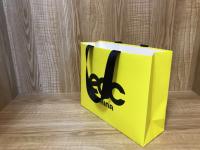 China CMYK 4C Offset Printing 250gsm Coated Paper Shopping Bags FSC Certificated for sale