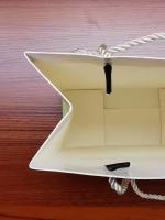 China Matt Laminated 250gsm Kraft Paper Merchandise Bags With Nylon Rope Handle for sale