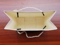China Matt Laminated 250gsm Kraft Paper Merchandise Bags With Nylon Rope Handle for sale