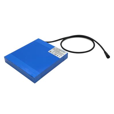 China ROHS MSD Solar Street Light Lithium Battery 10.8V 30AH with 65°C Protection and 3000 Cycle Life for sale