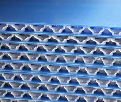 China Sandwich-Structured Two-Tone Lightweight PP Honeycomb Panel for Decorative and Packaging Solutions for sale