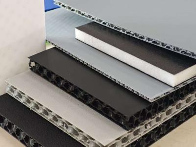 China Custom Color Lightweight Impact Resistant Plastic Honeycomb Panel PP Honeycomb Sheet for sale