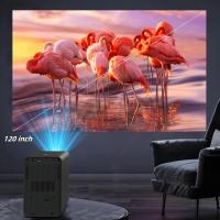 China F6 Mini 1080P Projector with Official Netflix & Streaming Apps - 250 ANSI Lumens, 30-150 Inch Display for sale