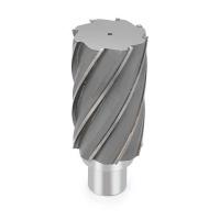 China 2 Flute Custom End Mills With NANO Coating OEM Support recision Machining for sale
