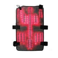 China Body Targeted Muscle Training Therapy Light Red with 122pcs 630nm 850nm Lamp Beads for sale