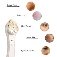 China Pore Cleaner Eye Lips Pen Beauty Care Massager for Brightening and Wrinkle Reduction for sale