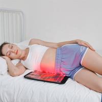China 210pcs LED 660nm 850nm Red and Infrared Light Therapy Mat for Targeting Body Muscles for sale