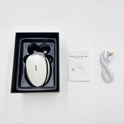China Advanced Technology Face Neck Lifting Massager with EMS Electrical Muscle Stimulation for sale