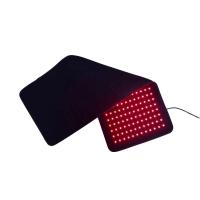 China 360 Lamp Beads 660nm 850nm Red and Infrared Light Therapy for Targeted Body Relief for sale