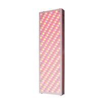China DC12V Output 300 Lamp Beads Infrared Red Light Therapy for Face Home and Skin Firming for sale