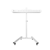 China DC12V Output 300 Lamp Beads Infrared Red Light Therapy for Face Home and Skin Firming for sale