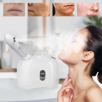 China Professional Facial Steamer Hot Steamer for Deep Cleansing and 35-Minute Spraying Time for sale