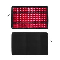 China Equine Red Light Therapy Waist Belt for STANDING Horse Weight Loss and Back Pain Relief for sale