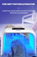 China Face Target Area Waterproof LED Light Therapy Mask with Red Light Wand and Spray for sale