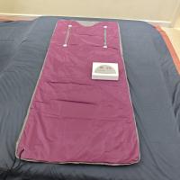 China Oxford Infrared Sauna Blanket 3 Zones Weight Loss Pain Relief Detox Slimming Machine for sale