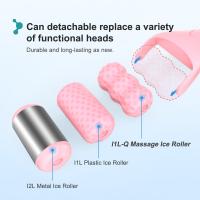China Transform Your Skin with The Skinny Confidential Hot Mess Ice Roller Massage Facial for sale