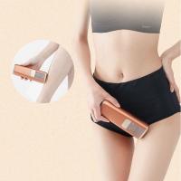 China NO App-Controlled Household Laser Epilator The Must-Have for Women to Prevent Sunburn for sale