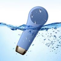 China USB Charging Electric Sonic Facial Cleansing Brush Face Scrubber with Red/Blue Light for sale