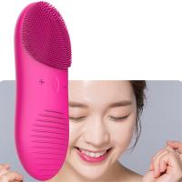 China Waterproof 2023 Portable Exfoliator Facial Cleansing Brush for Home Office and Travel for sale